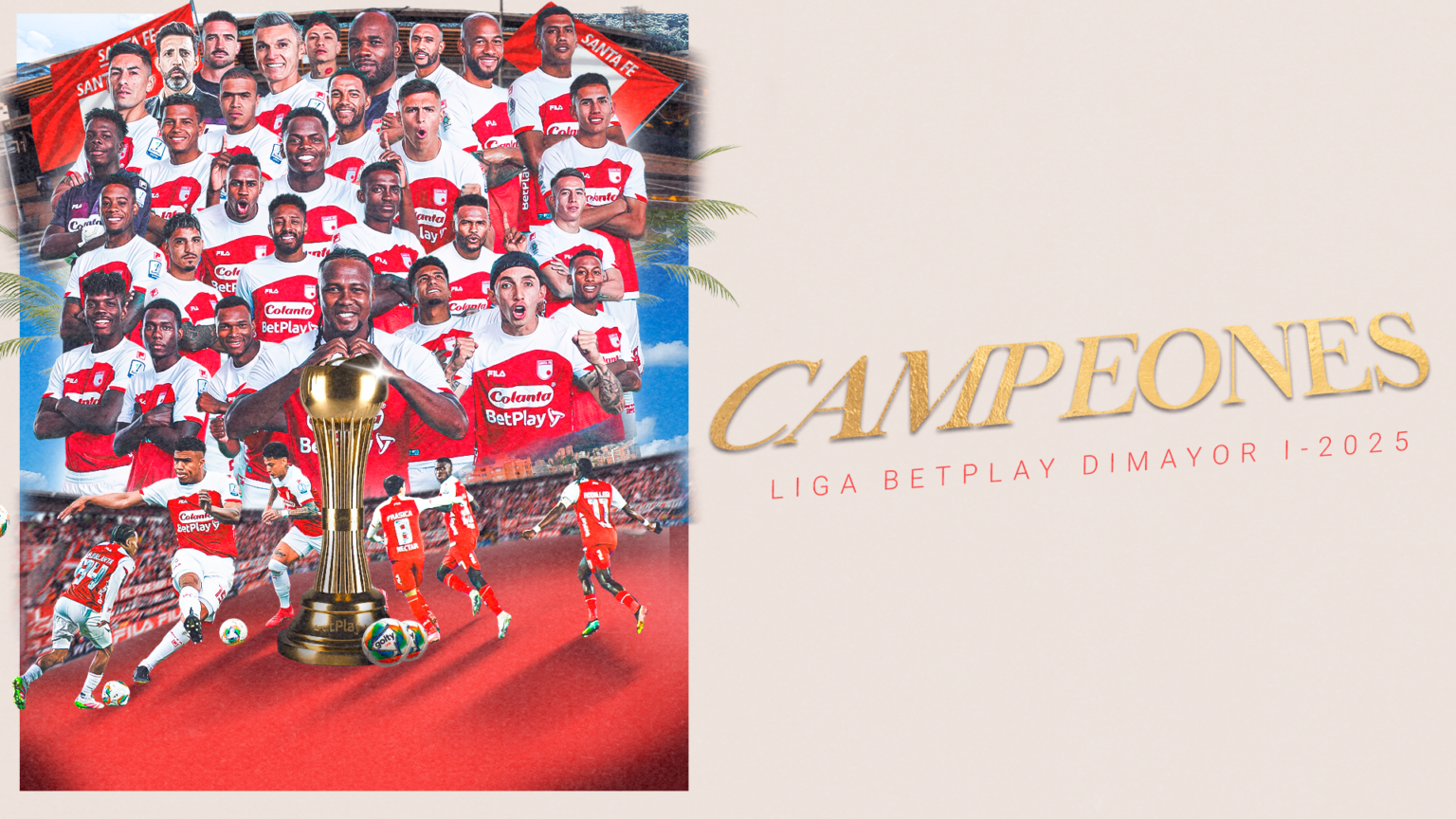 Noticias liga Betplay - Dimayor